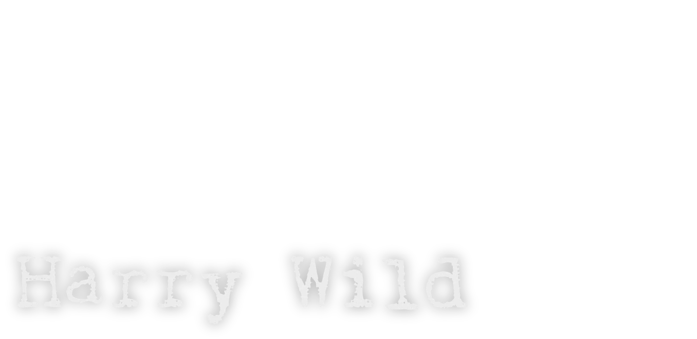 Watch Harry Wild | Stream free on Channel 4