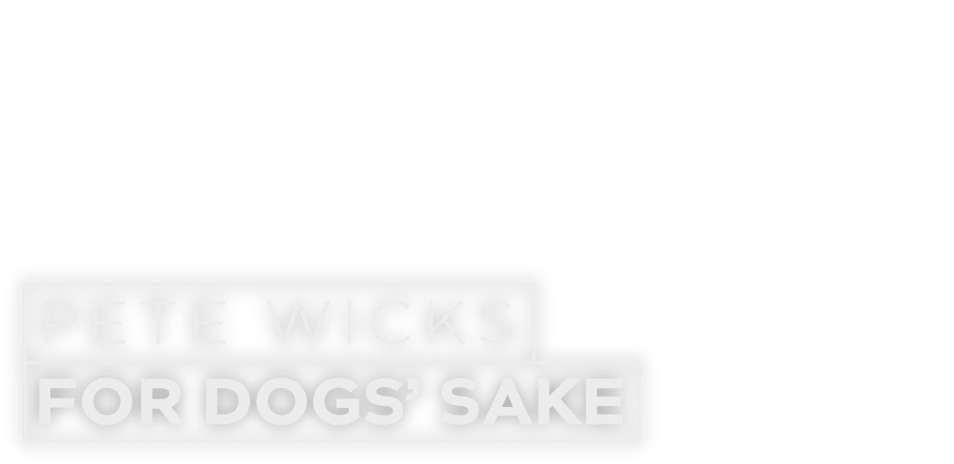 Watch Pete Wicks: For Dogs' Sake | Stream free on Channel 4