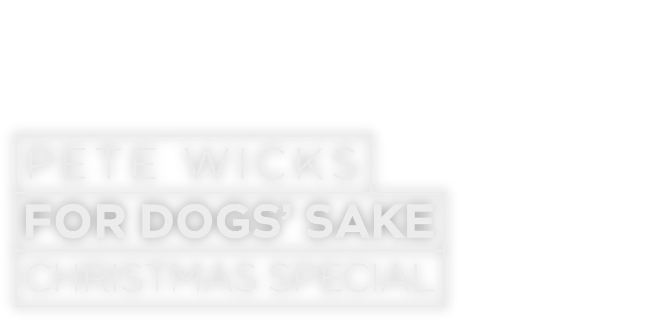 Watch Pete Wicks: For Dogs' Sake Christmas Special | Stream free on ...