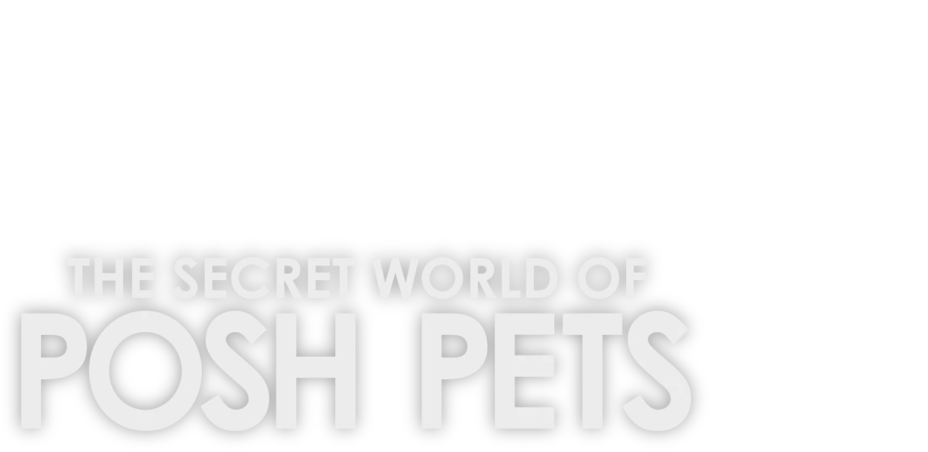 Watch The Secret World of Posh Pets | Stream free on Channel 4