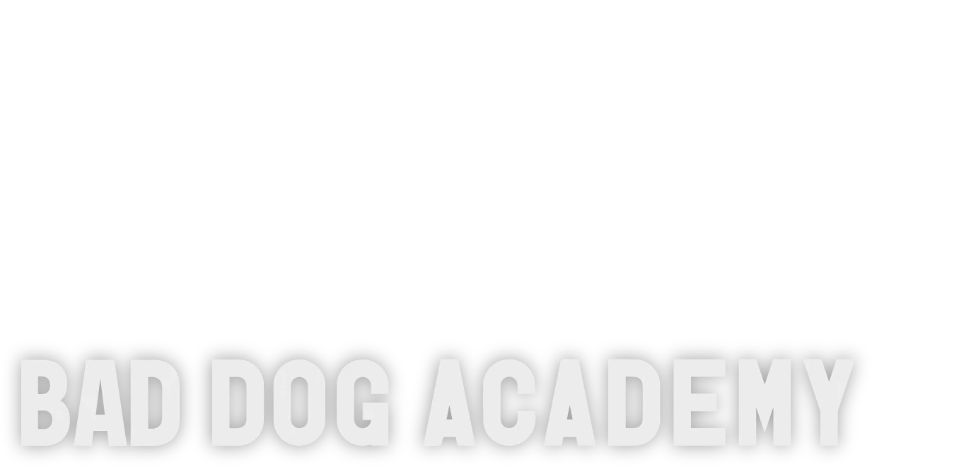 Watch Bad Dog Academy | Stream free on Channel 4
