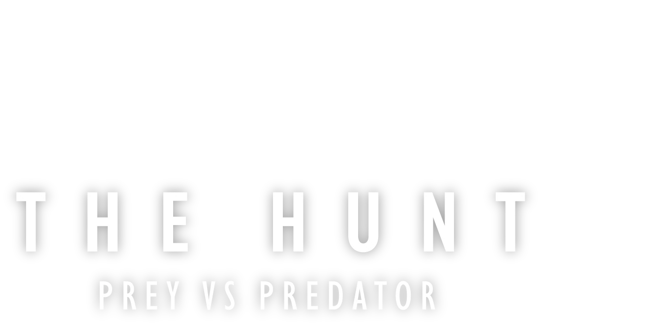 Watch The Hunt: Prey vs Predator | Stream free on Channel 4