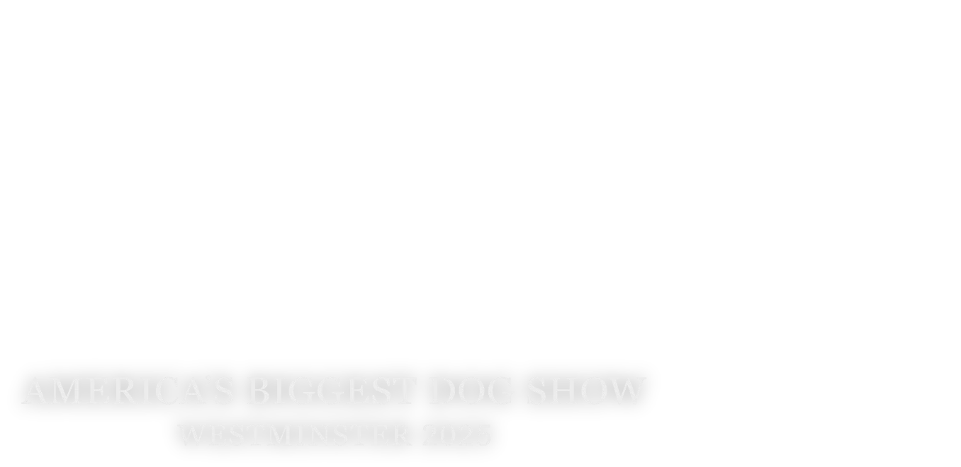 Watch America's Biggest Dog Show: Westminster 2025 | Stream free on ...