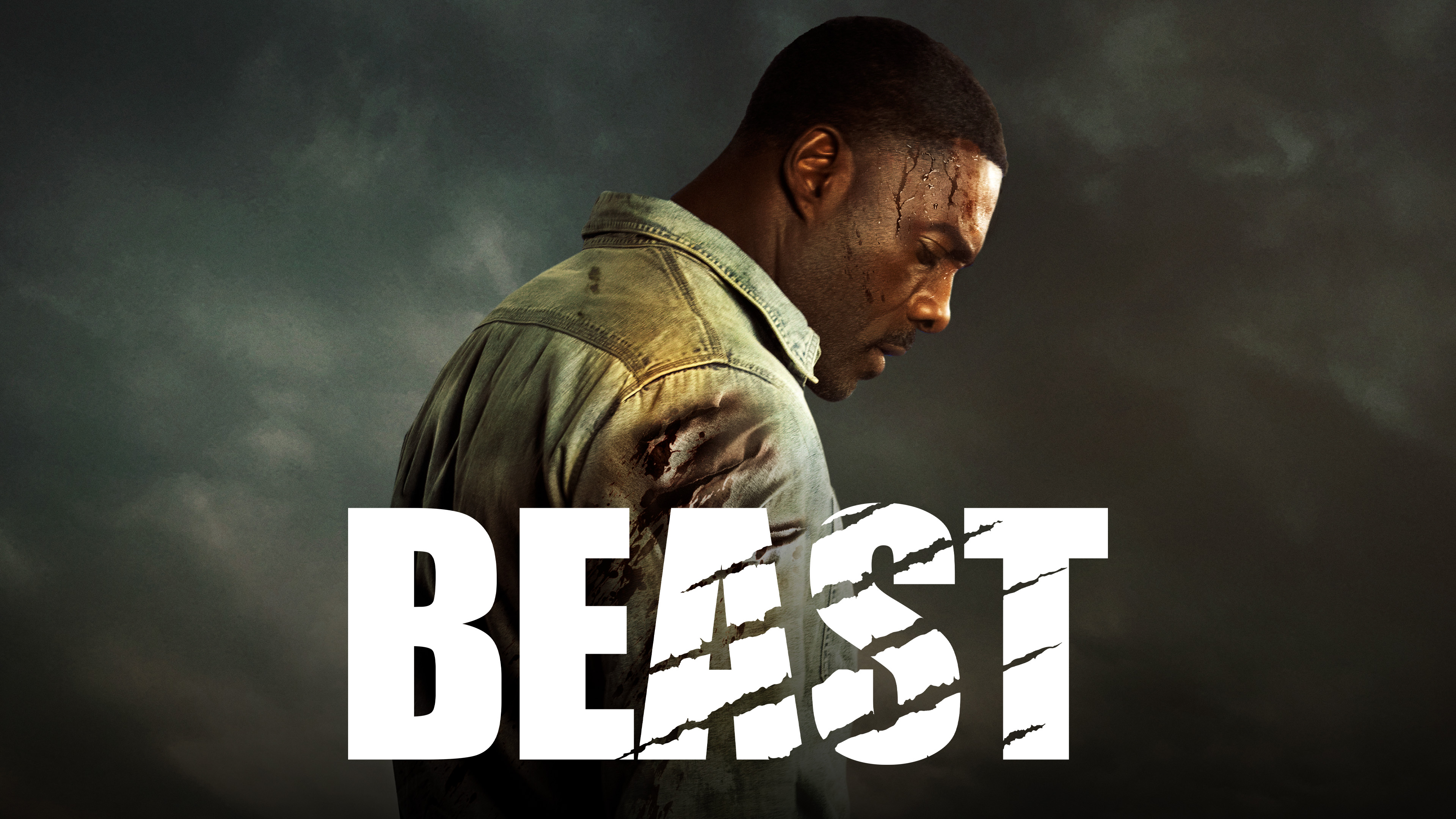 Film4 | Channel 4