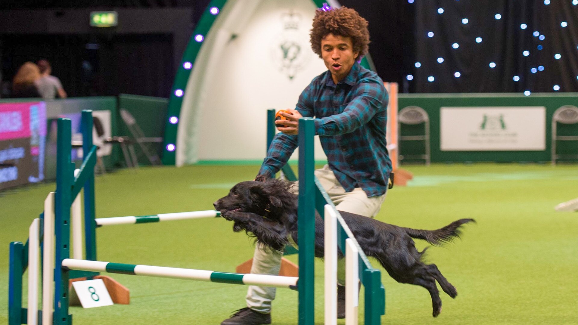Crufts - All 4