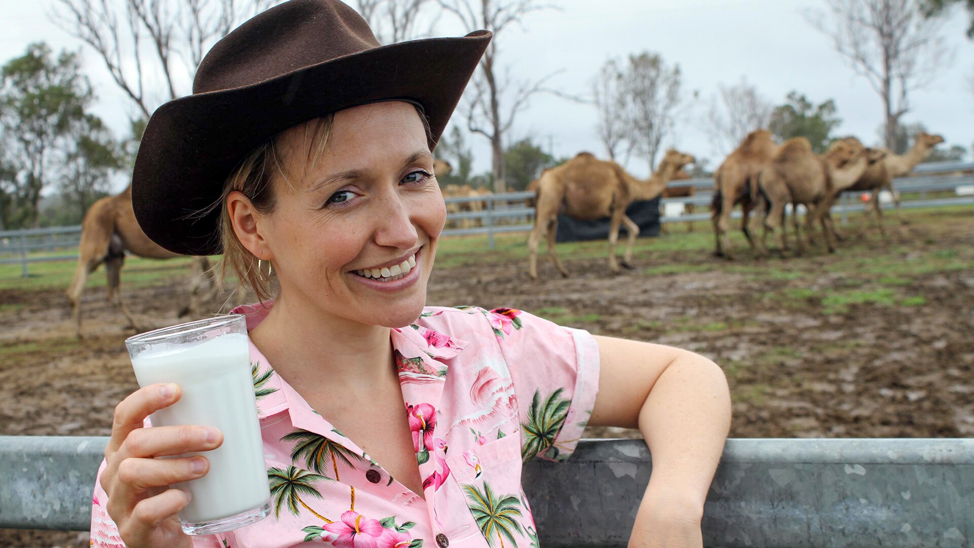 Food Unwrapped - All 4