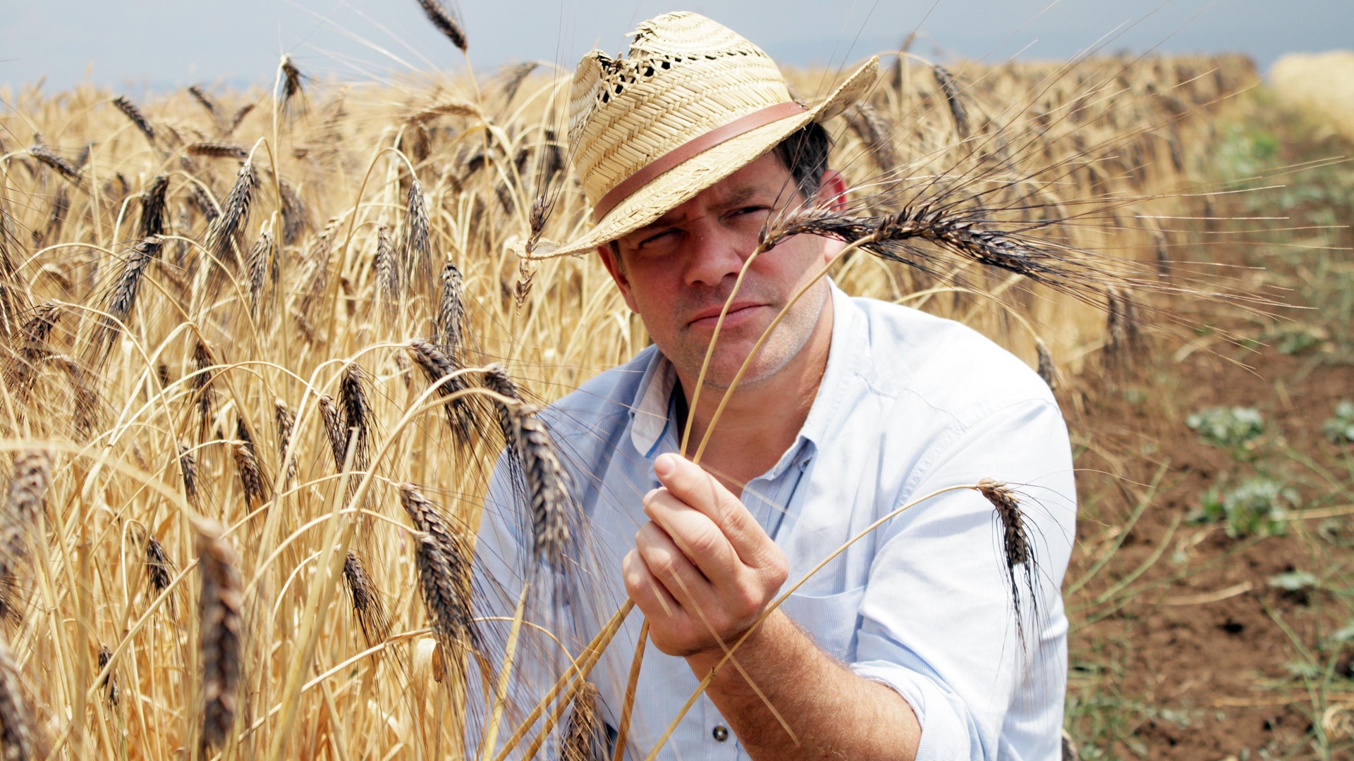 Food Unwrapped - All 4