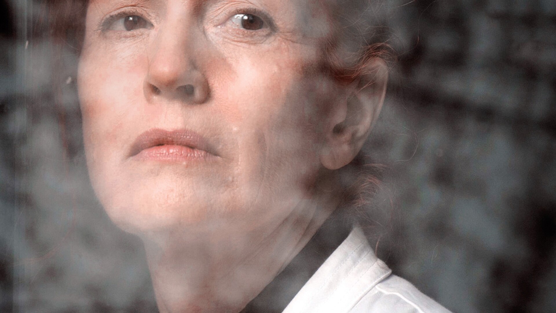 Inspector Borowski - All 4