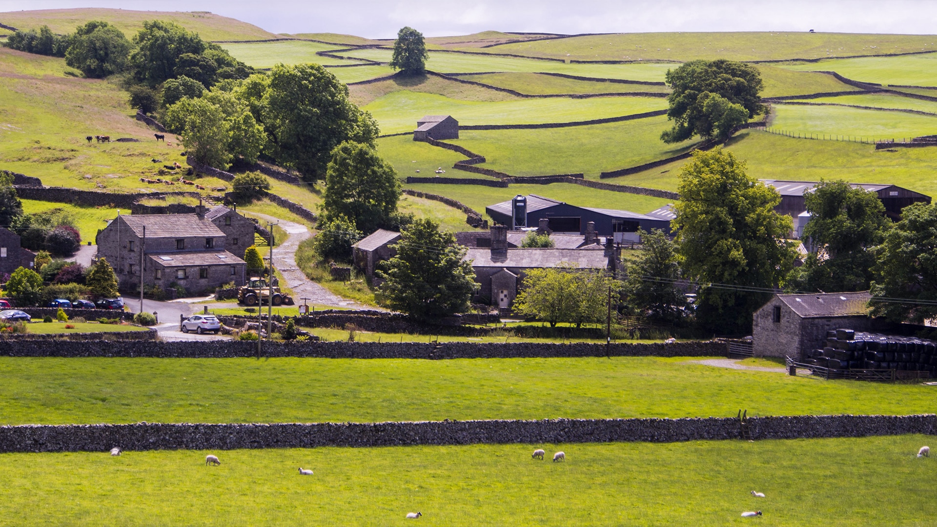 The Yorkshire Dales and The Lakes - All 4