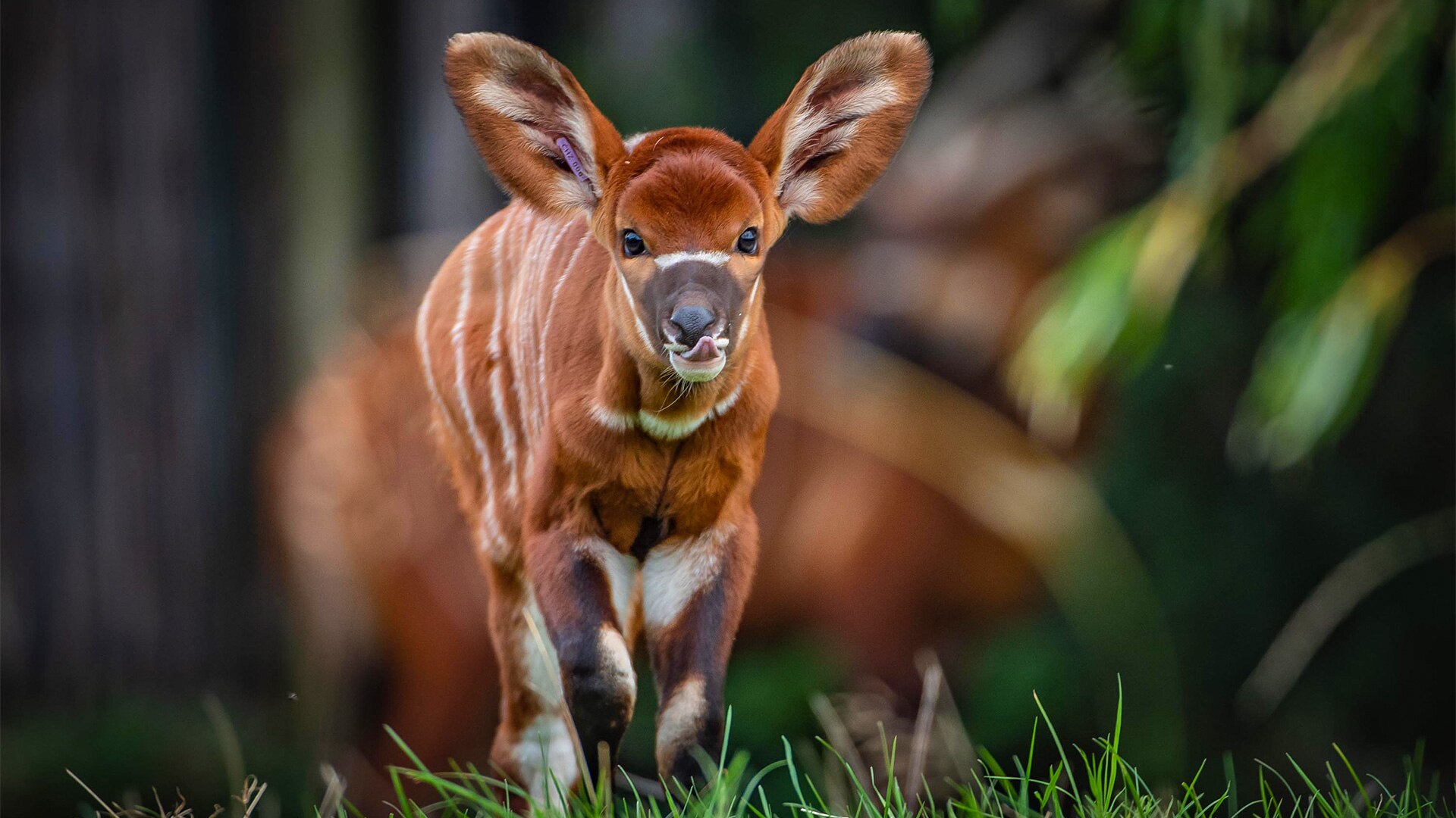 Watch Channel 4 live | Stream Channel 4 Live